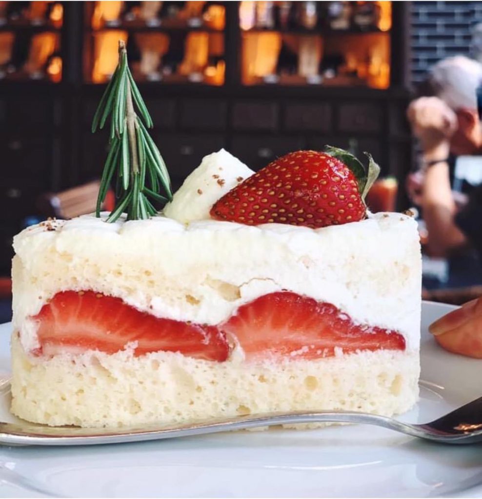 ทีแฟคโทรี่ แอนด์ มูท (Tea factory and More) - Pet Friendly Thailand