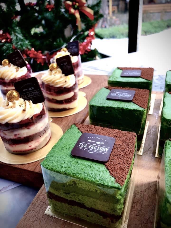 ทีแฟคโทรี่ แอนด์ มูท (Tea factory and More) - Pet Friendly Thailand