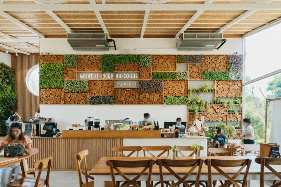 บูคอลเลค เขาใหญ่ (Bucolic Khaoyai) - Pet Friendly Thailand