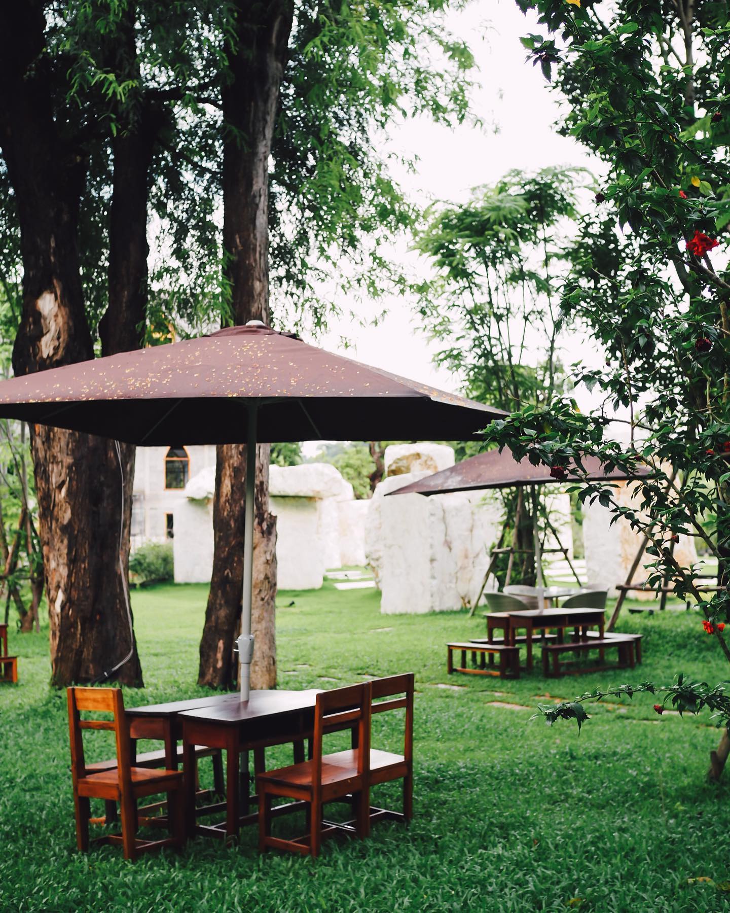 วิทอินเขาใหญ่ (Within Khaoyai) - Pet Friendly Thailand