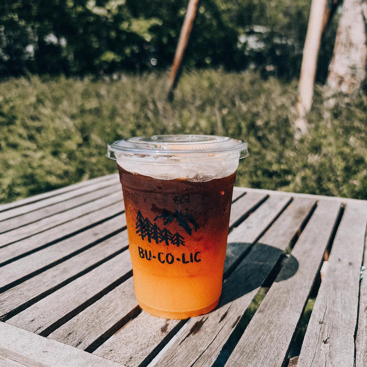 บูคอลเลค เขาใหญ่ (Bucolic Khaoyai) - Pet Friendly Thailand