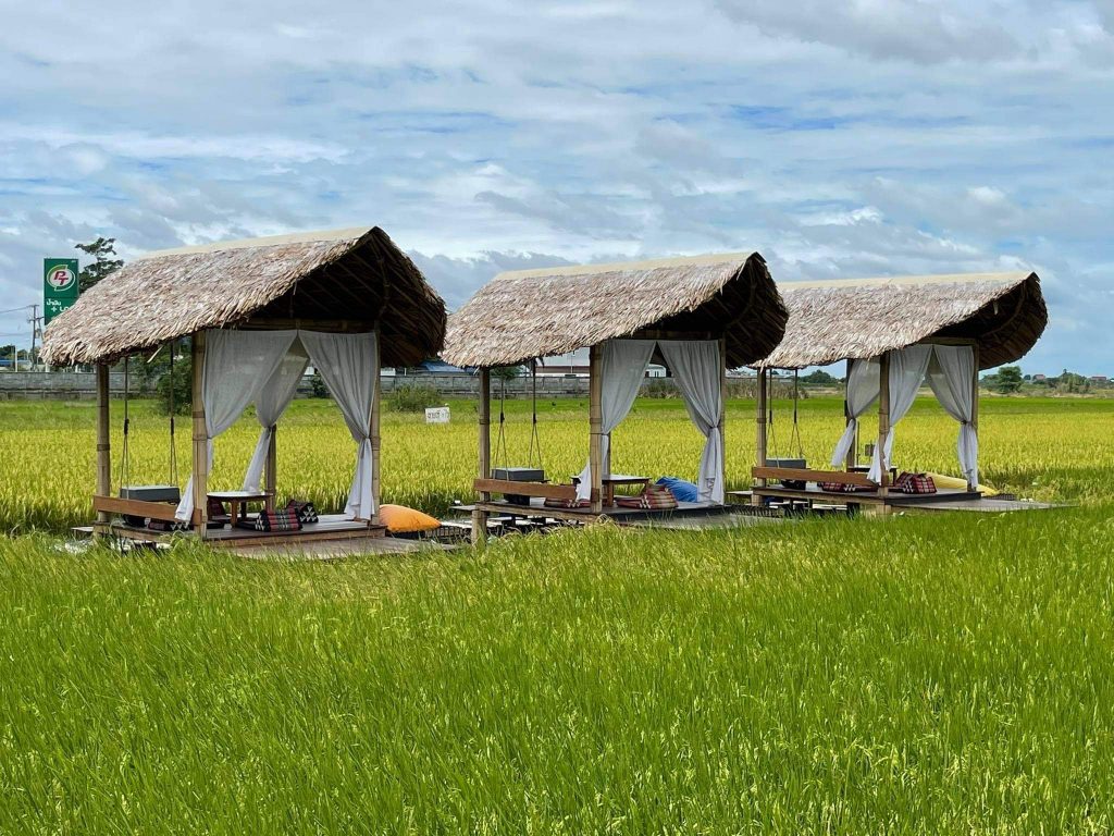 Rak Na Cafe - Pet Friendly Thailand