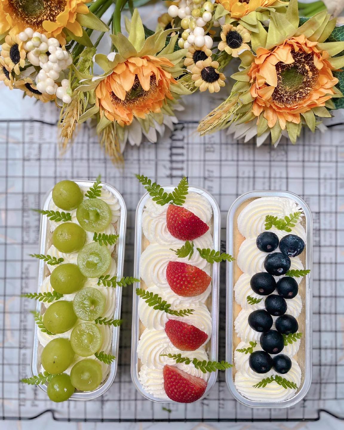 Padee - Pet Friendly Thailand