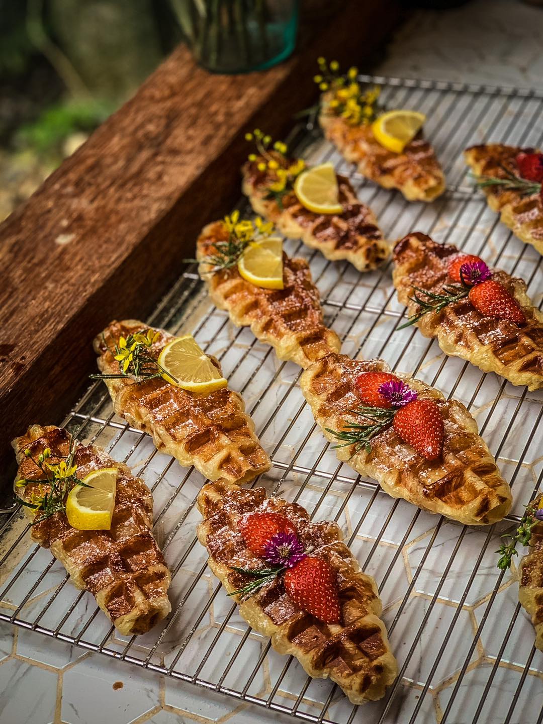 Padee - Pet Friendly Thailand