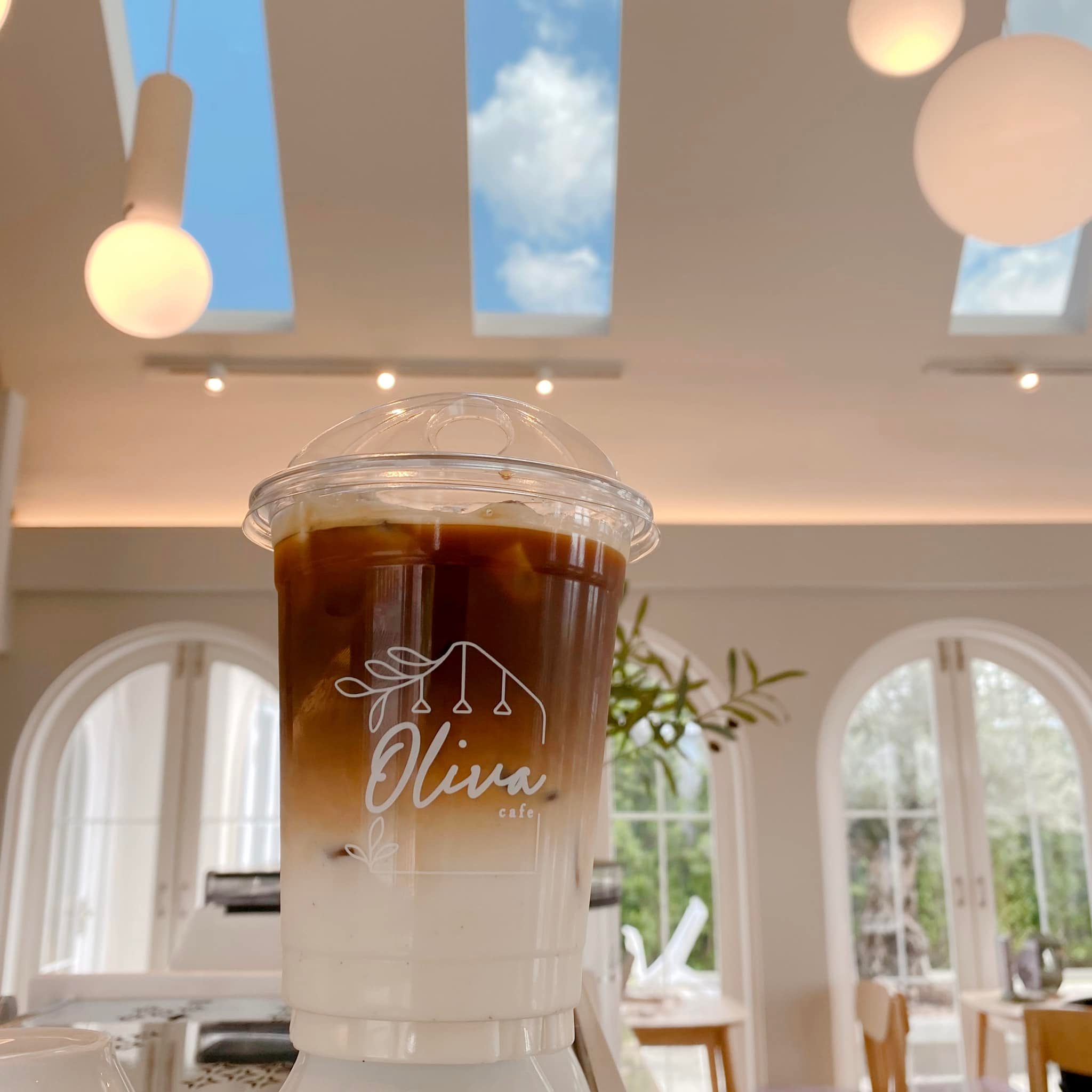 โอลิว่า คาเฟ่ (Oliva Cafe) - Pet Friendly Thailand
